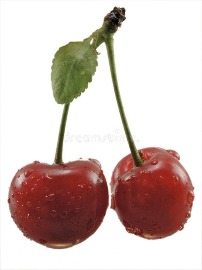 Food ingredients stock image. Image of cherries, fresh - 12789805