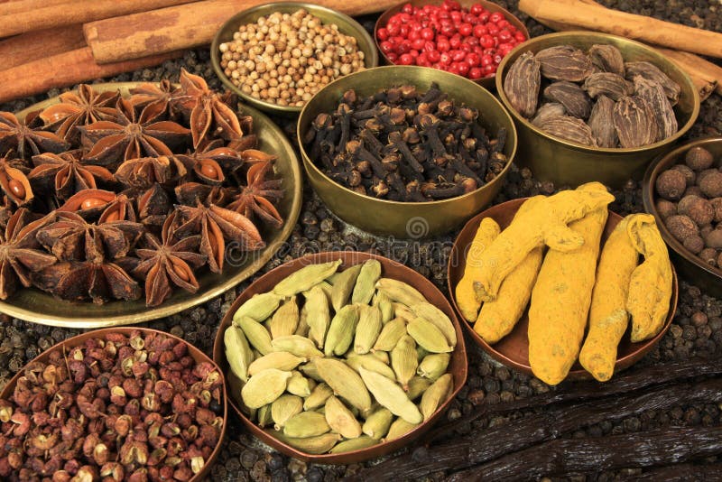 Food ingredients stock photo. Image of garlic, food, powder - 9246776