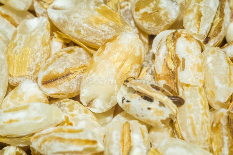 Food and insects stock image. Image of bizarre, asian - 104918003