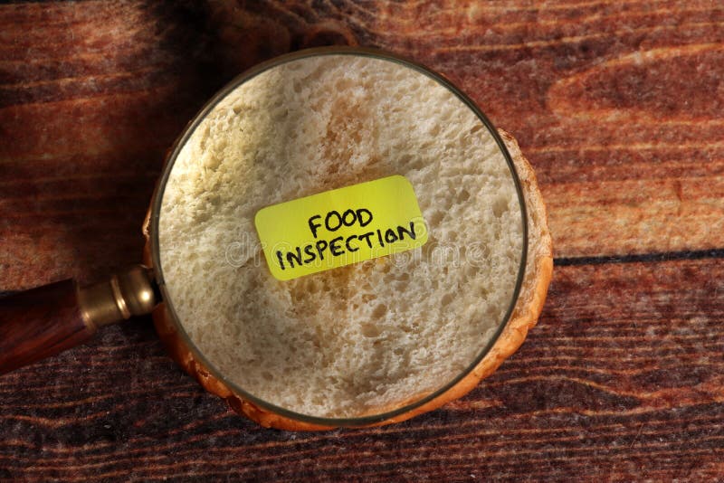 Food inspection stock photo. Image of bread, inspection - 146435326