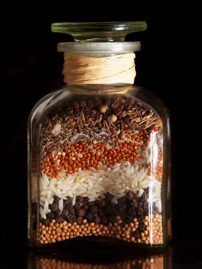 Two germinating seeds stock image. Image of horticulture - 4316545