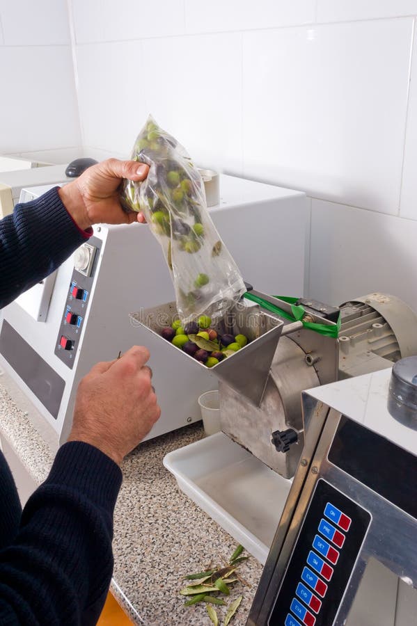 Food laboratory stock photo. Image of biotechnology, laboratory - 22305640