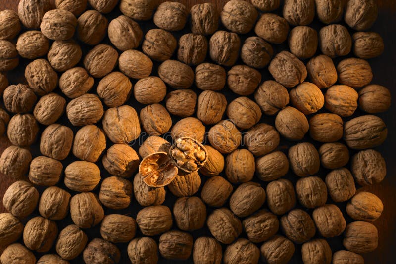 Food Material stock image. Image of color, plant, full - 92570607