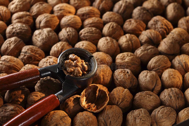 Food Material stock photo. Image of fresh, snack, indoors - 92570064