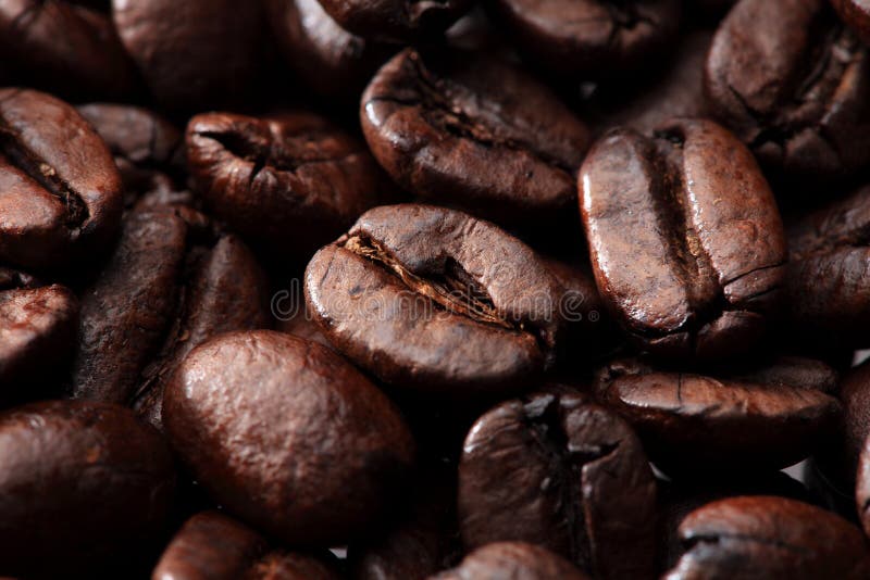 Food Material stock image. Image of bean, morning, food - 92570203