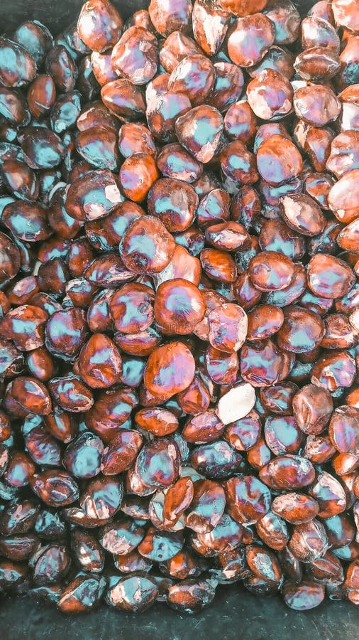 This Food Name is Jengkol, and this is Indonesian Traditional Food ...