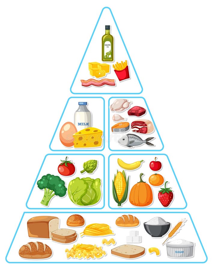 Food Nutrition Groups Pyramid Stock Vector - Illustration of healthy ...