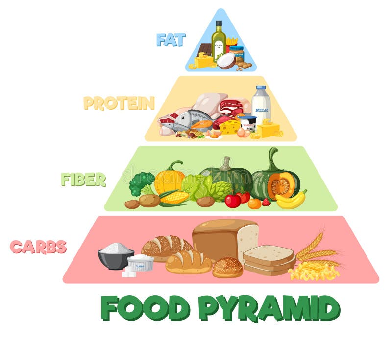 Food Nutrition Groups Pyramid Stock Vector - Illustration of cartoon ...