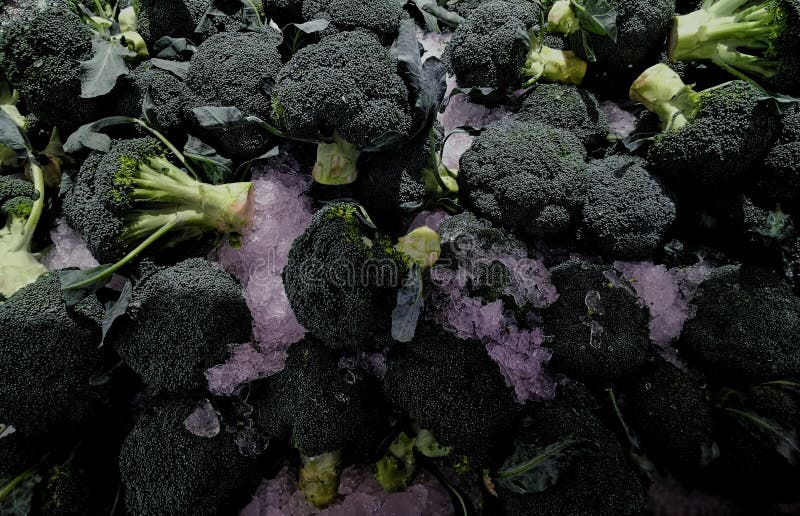 Food and objects stock image. Image of objects, sell - 264754529