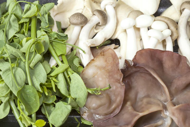 Food pack mushrooms stock photo. Image of health, freshness - 52869548