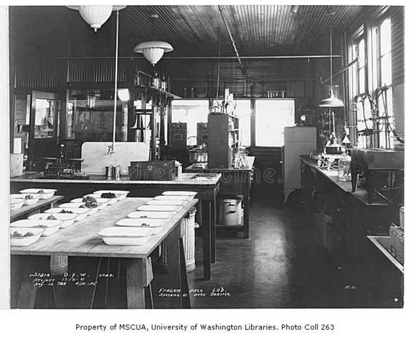 Food Packing Laboratory Interior Stock Image - Image of history, design ...