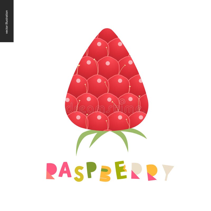 Raspberry Vector Seamless Patterns Stock Illustrations – 171 Raspberry ...