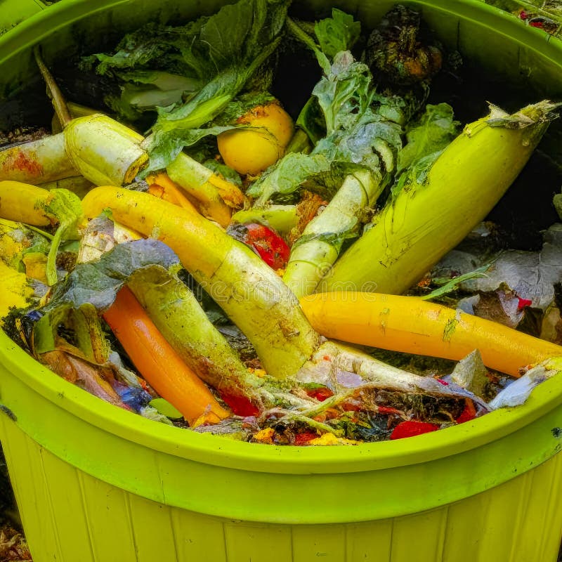 Food Plant Waste. Generative AI Stock Image - Image of generated ...