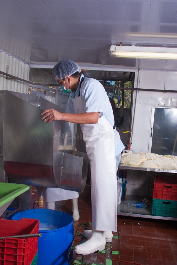 Food Production Plant Worker Stock Photo - Image of dairy, fermentation ...