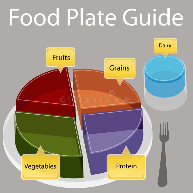 Food Plate Guide stock vector. Illustration of nutritional - 19750212