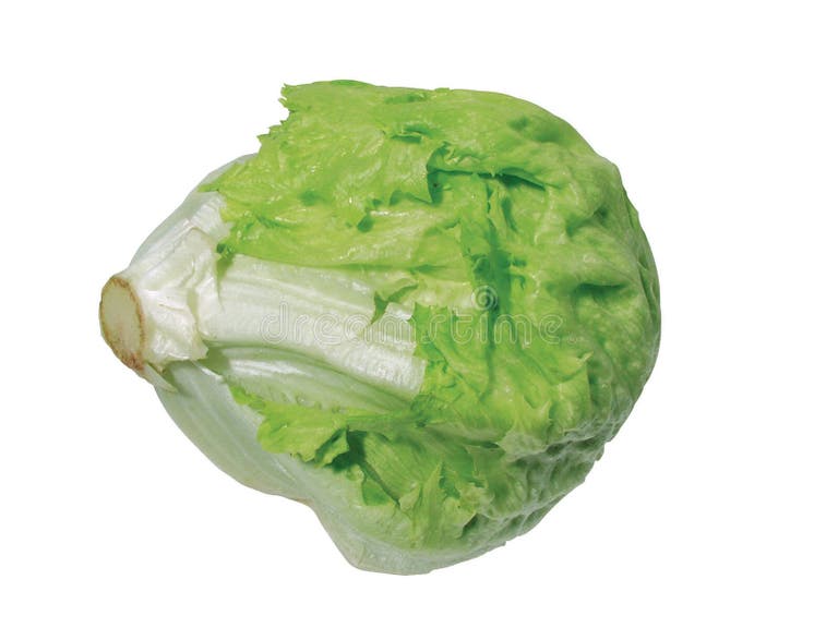 Food stock image. Image of ingredient, prepackaged, food - 81555109