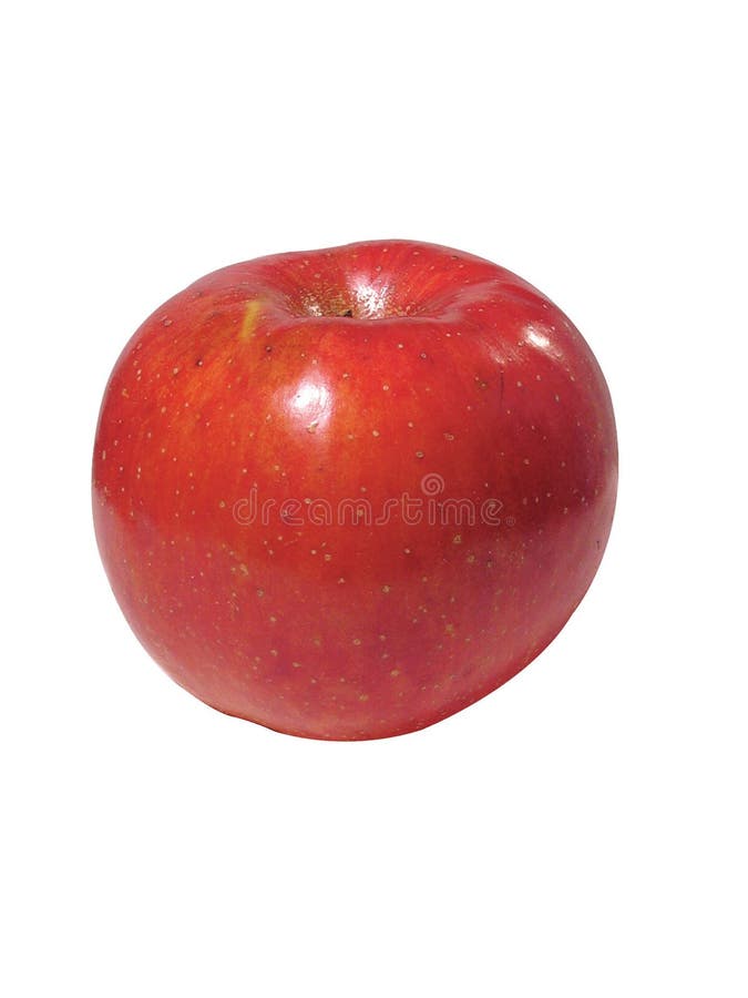 Food stock image. Image of prepackaged, ingredient, objects - 81555391