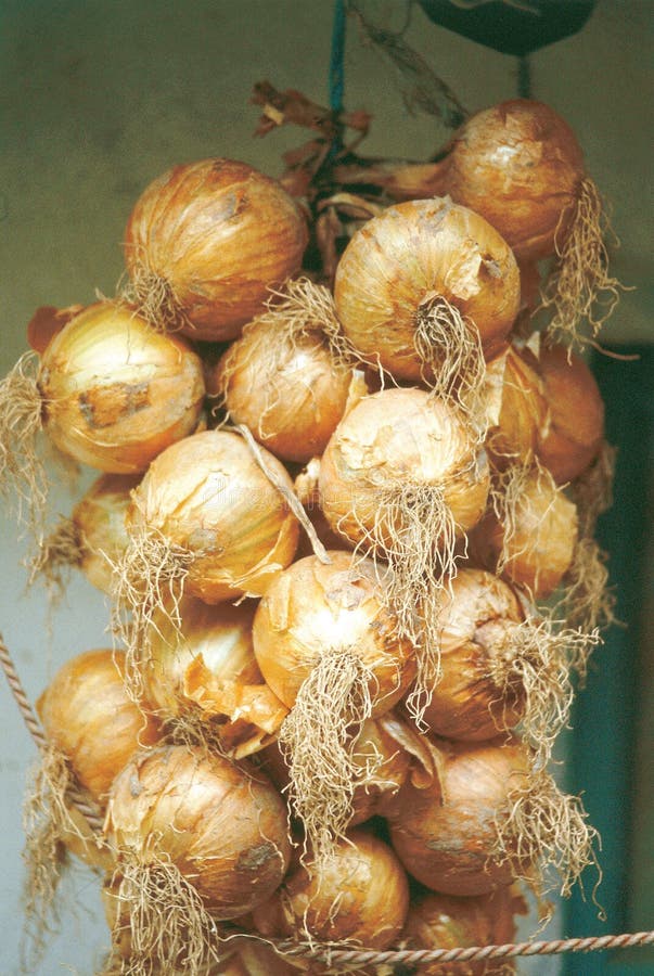 Food stock image. Image of produce, prepackaged, outdoors - 81560195