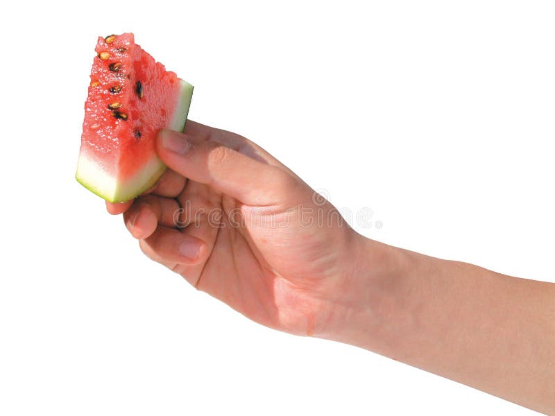 Food stock photo. Image of watermelon, human, fruit, prepackaged - 81582996