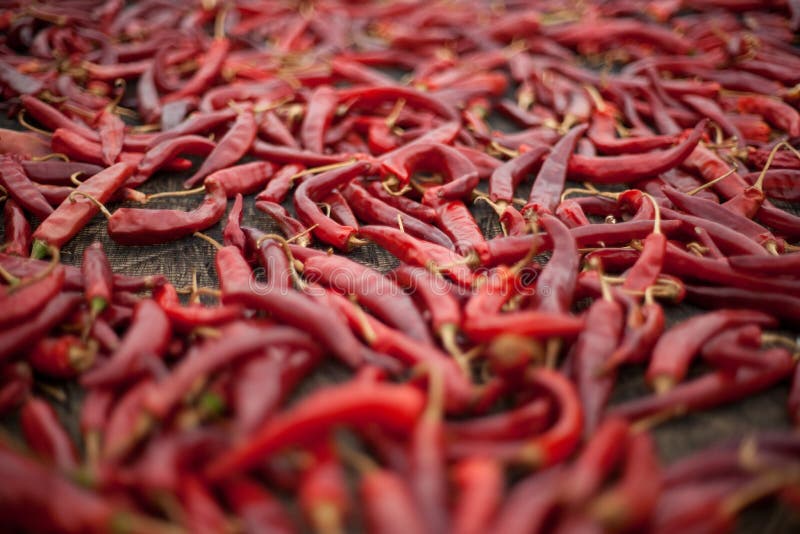 Food stock photo. Image of prepackaged, outdoors, pepper - 82412992