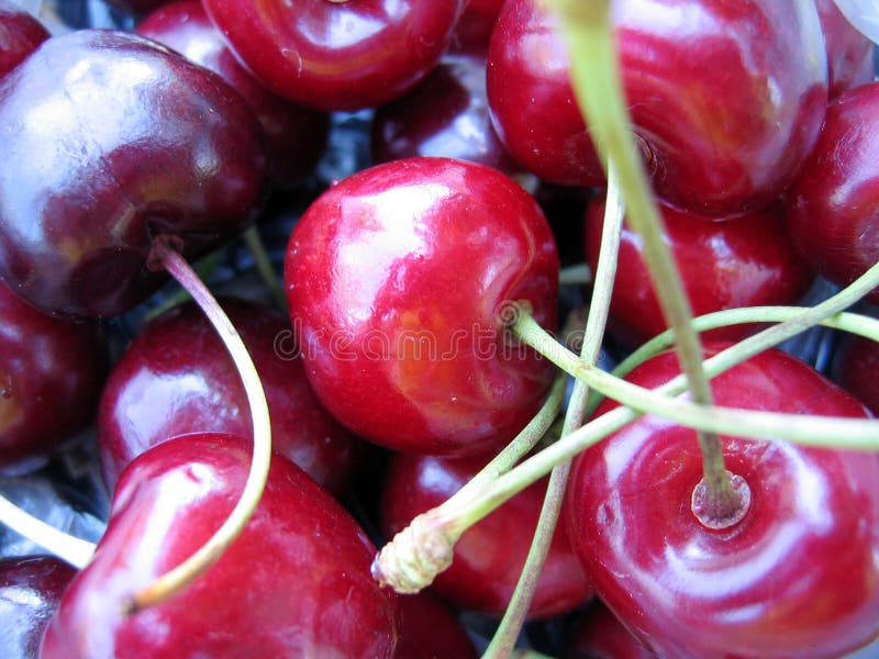 Food stock image. Image of cherry, group, indoors, medium - 82436497