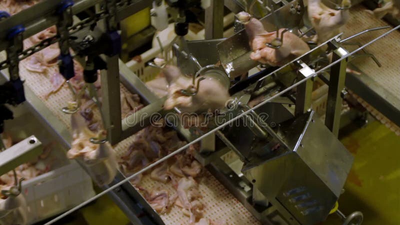 Food Processing Factory, Chicken Meat Stock Footage - Video of isolated ...