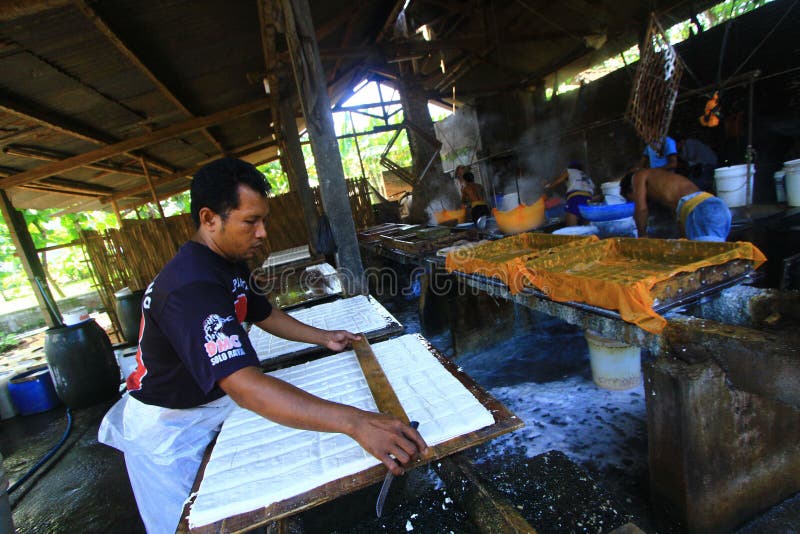 Food Processing Industry of Soy Ingredients Editorial Photo - Image of ...