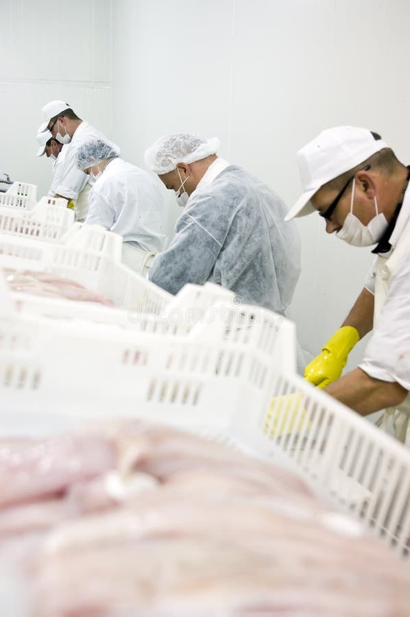 Food processing line stock photo. Image of workers, people - 11400366