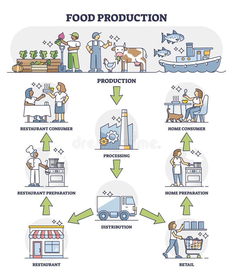 Food Processing Diagram Stock Illustrations – 433 Food Processing ...