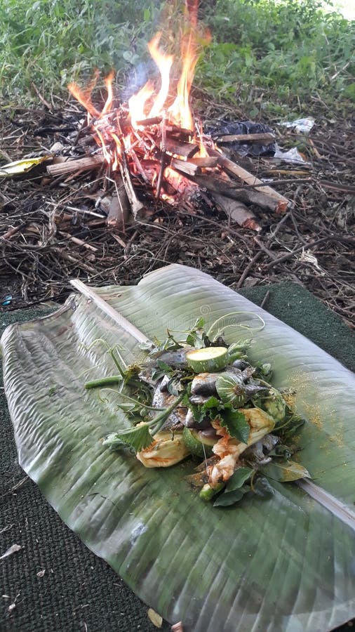 Food Provided by Nature for Survival in the Forest Stock Photo - Image ...