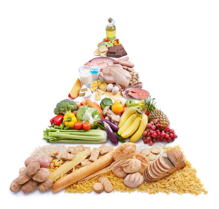 16,549 Food Pyramid Infants Stock Photos - Free & Royalty-Free Stock ...
