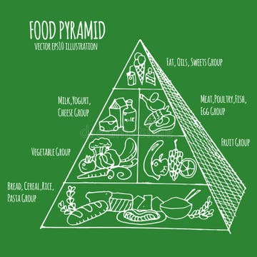 Food pyramid stock vector. Illustration of carrot, cheese - 80288311