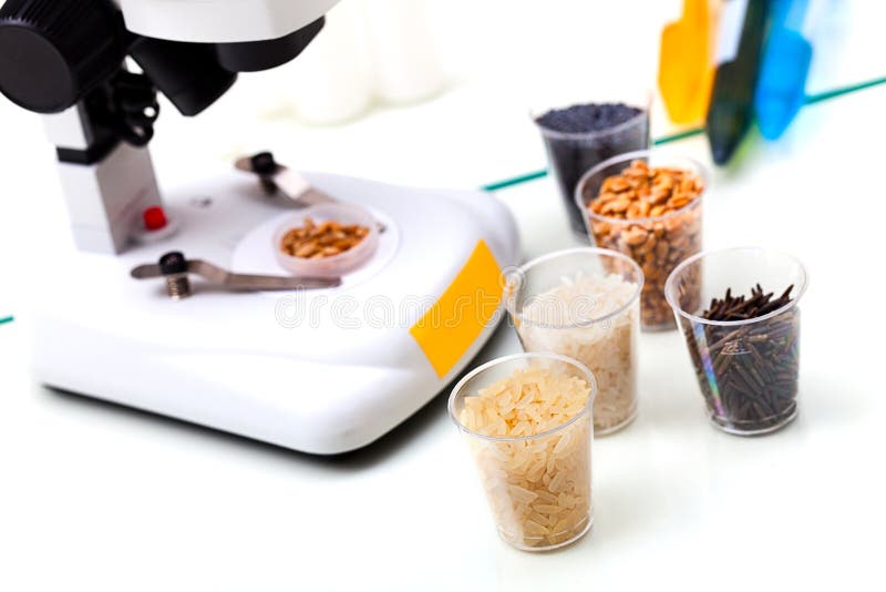 Food Quality stock photo. Image of chemistry, research - 21673060