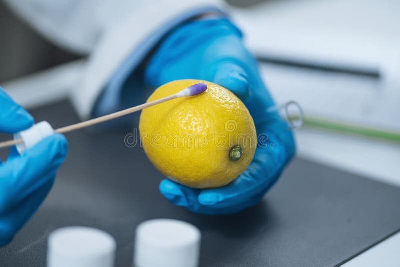 136 Fruit Agronomy Quality Control Stock Photos - Free & Royalty-Free ...