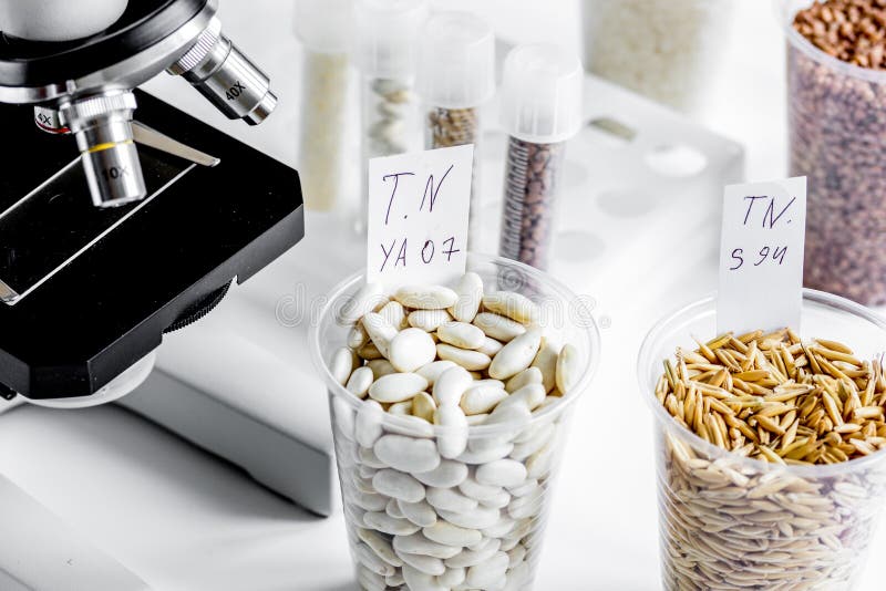 Food Quality Control in Laboratory No One Stock Image - Image of ...