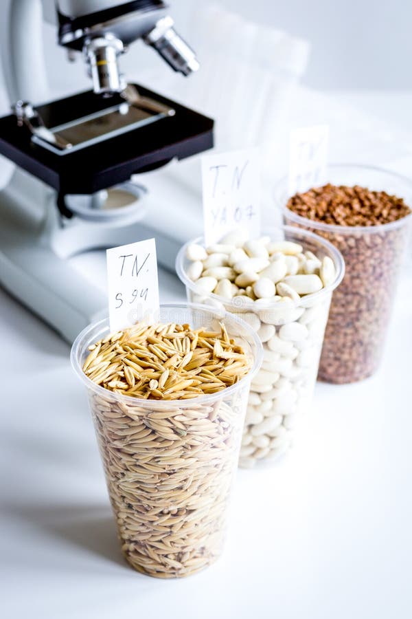 Food Quality Control in Laboratory No One Stock Image - Image of ...