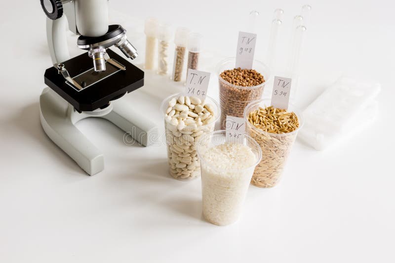 Food Quality Control in Laboratory No One Stock Image - Image of ...