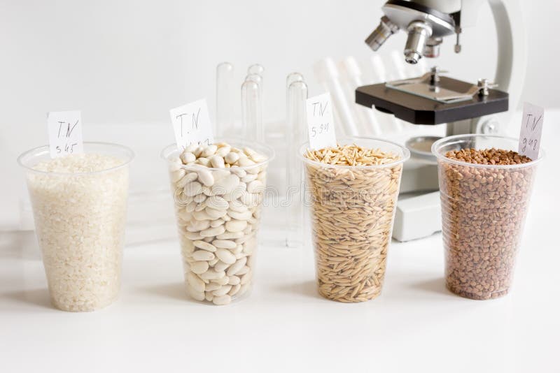 Food Quality Control in Laboratory No One Stock Photo - Image of ...