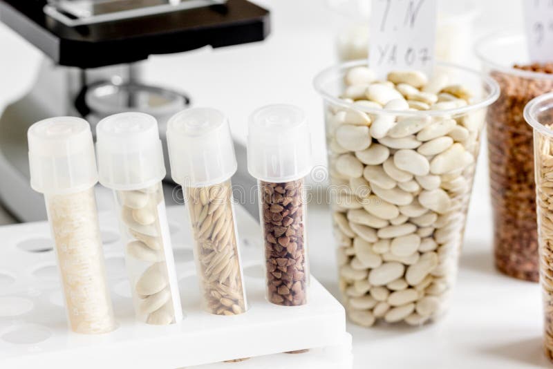 Food Quality Control in Laboratory No One Stock Image - Image of ...