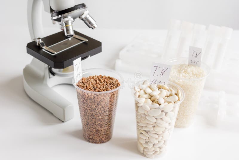 Food Quality Control in Laboratory No One Stock Image - Image of ...