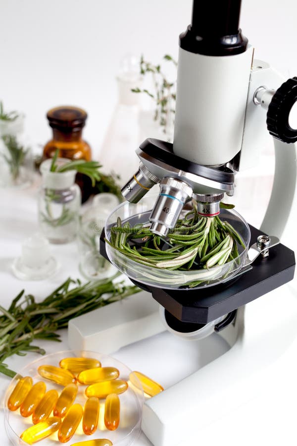 Food Quality Control in the Laboratory Rosemary Stock Image - Image of ...