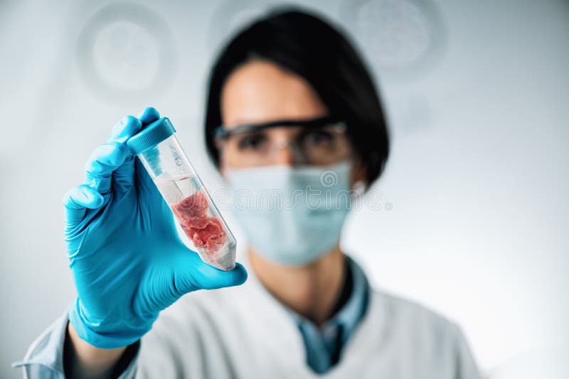 Food Quality Control of Red Meat. Sensory Evaluation of Beef Sample in ...