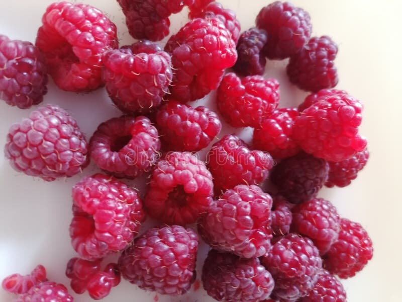 Food raspberry berries stock photo. Image of strawberry - 241022708