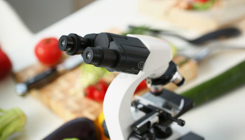 Food Research in Laboratories. Food Composition for Harmful and Useful ...