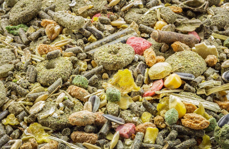 Food for rodent. stock photo. Image of natural, bran - 34796264