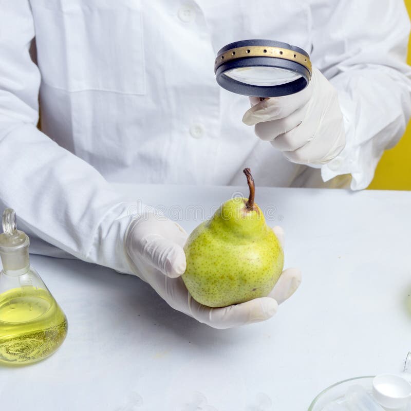 Food Safety Inspector Testing Fruit from the Market Stock Photo - Image ...