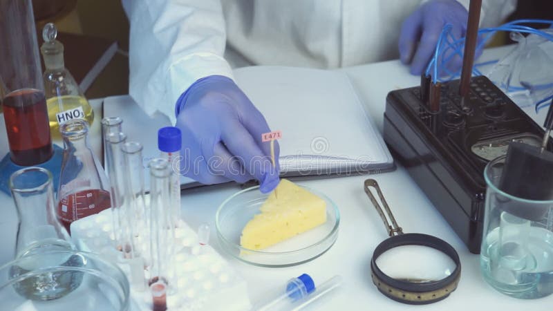 Food Safety Laboratory, Scientist Concept. Inspector Writing Test Note ...