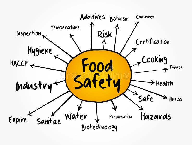 Food Safety Mind Map Flowchart Stock Illustration - Illustration of ...