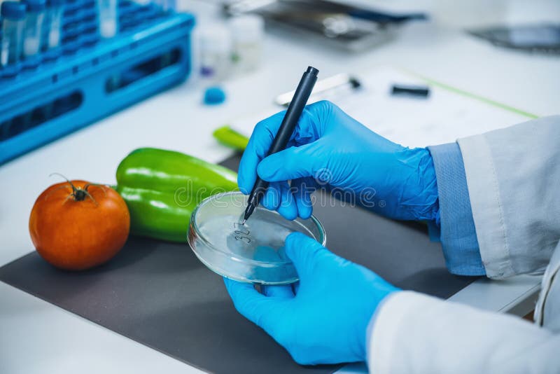 Food Safety and Quality Control Analysis in a Specialized Microbiology ...