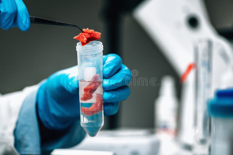Food Safety and Quality Control - Microbiological Analysis of Salmon ...